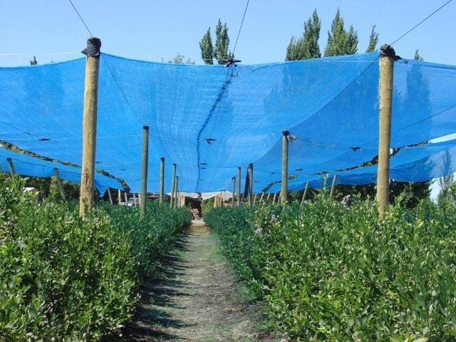 Agricover | Agricultura e innovación - Agralia Group